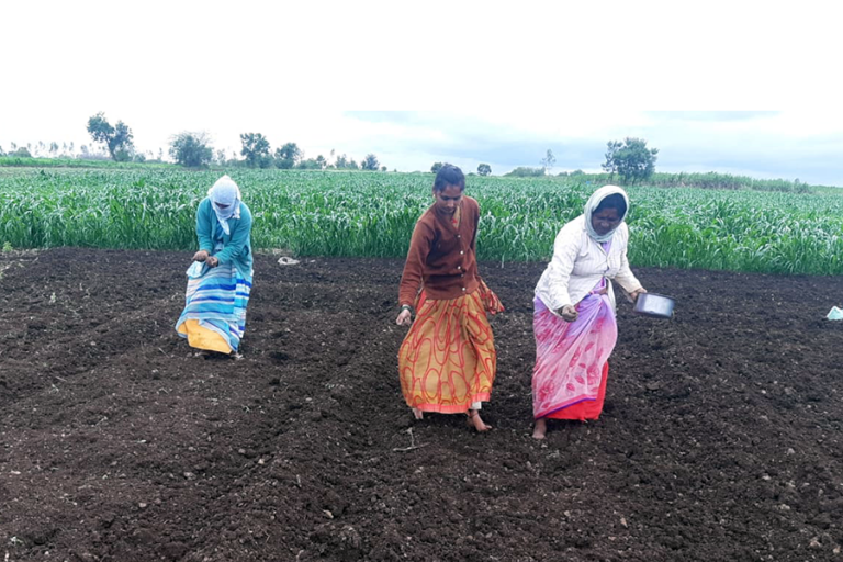 Agriculture & Rural Development – Mukul Madhav Foundation