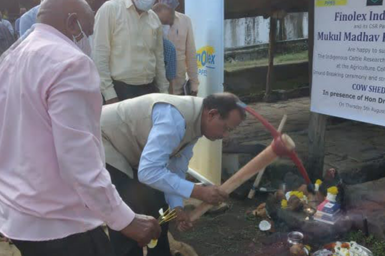 Animal NGO & Cow Welfare Programs | Gaushala Donation - Mukul Madhav ...