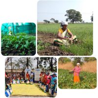 Agriculture & Rural Development NGO for Farmers | Mukul Madhav Foundation