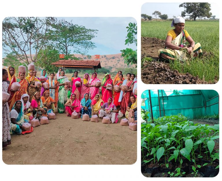 NGO Working For Farmers, Support Agriculture, Donate to Farmers in India